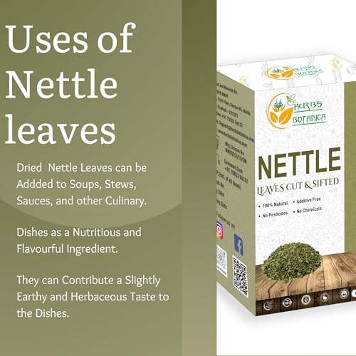 stinging nettle for wellness