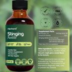 stinging nettle health benefits