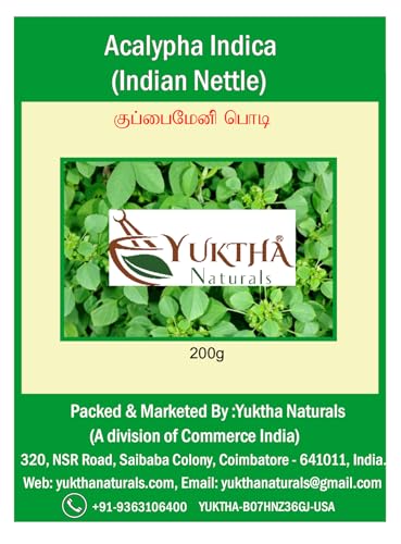stinging nettle herbal remedy for wellness