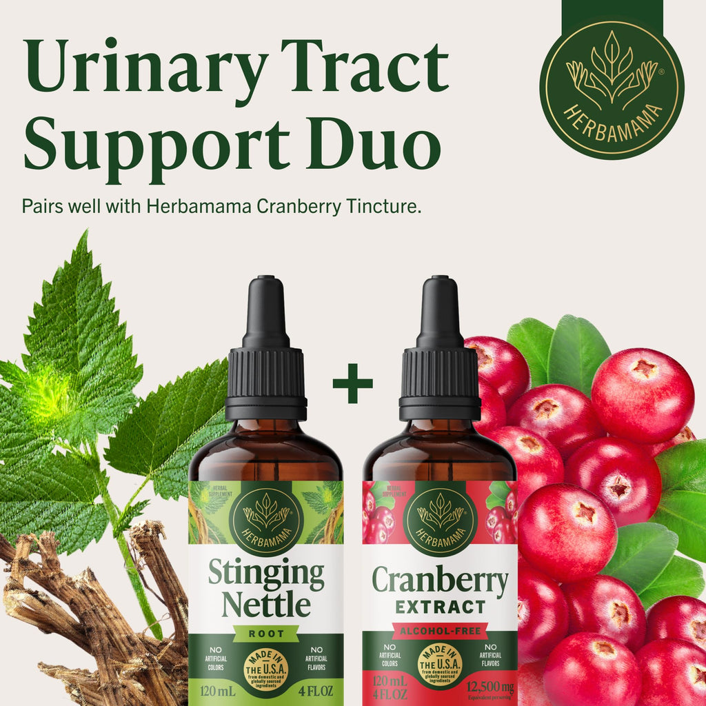 stinging nettle herbal supplement uses