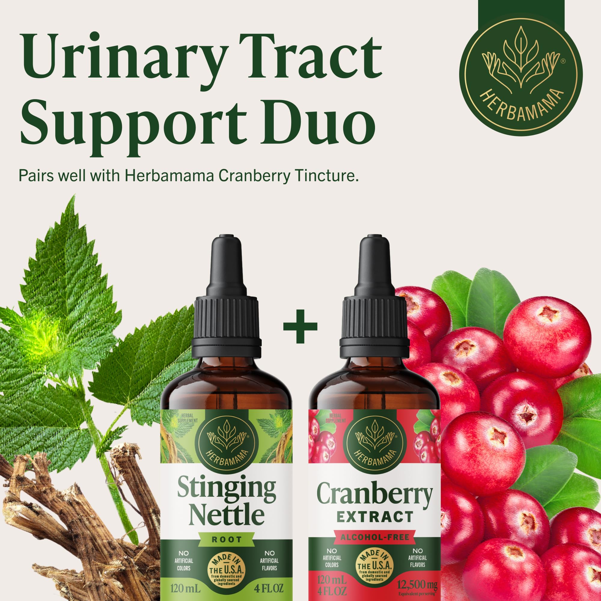 stinging nettle herbal supplement uses