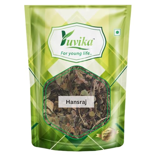 stinging nettle herbal supplement