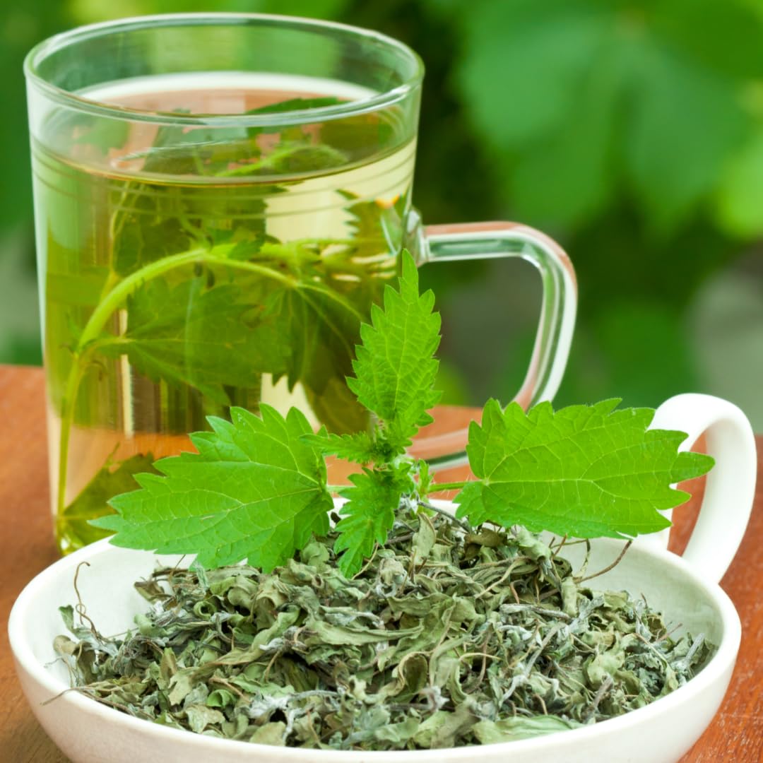 stinging nettle herbal supplement