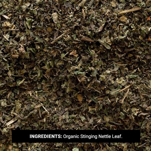 stinging nettle leaf for herbal remedies