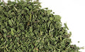 stinging nettle leaf for hormonal balance