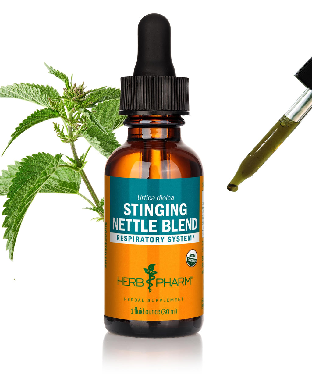 stinging nettle liquid extract benefits