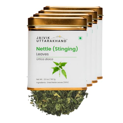 stinging nettle loose leaf tea