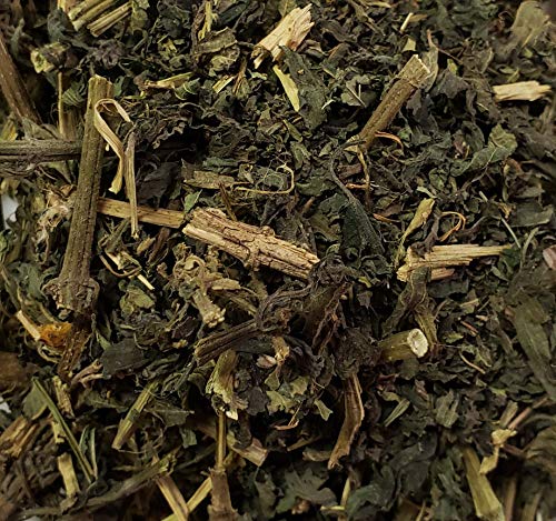 stinging nettle medicinal properties