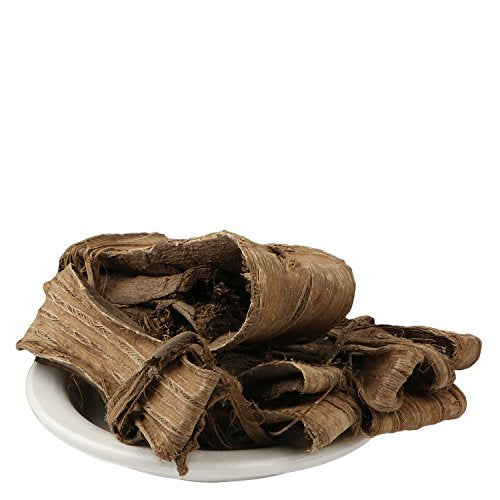 Stinging nettle medicinal uses explained