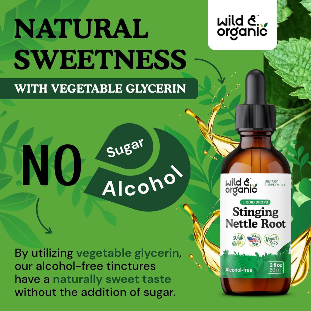 stinging nettle root for urinary health
