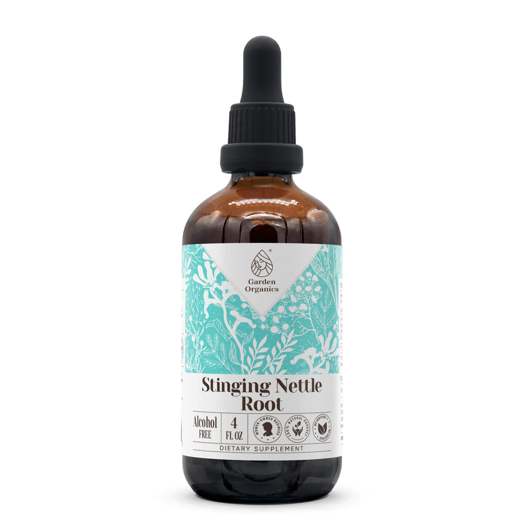 stinging nettle root immune booster