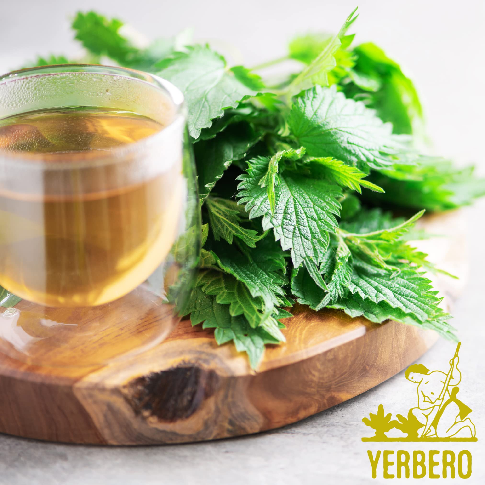 stinging nettle root tea blend