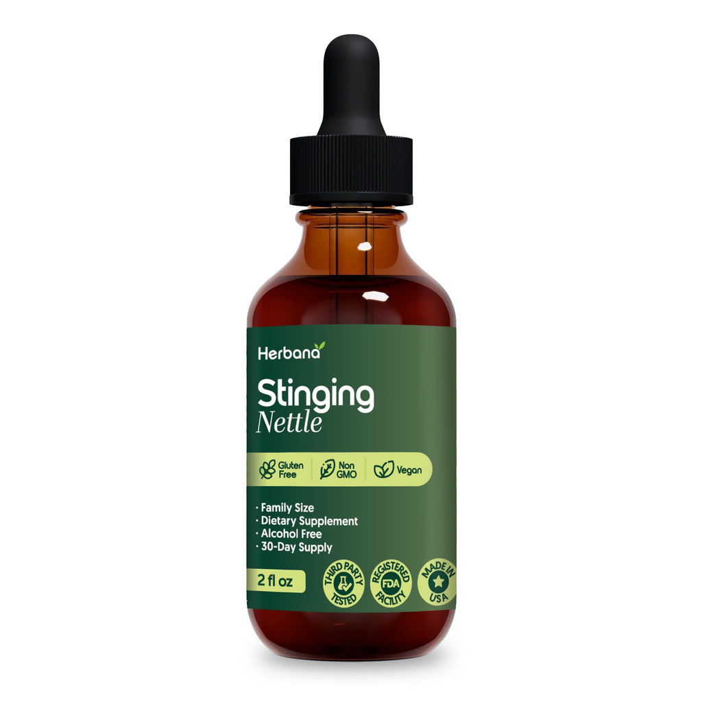 stinging nettle supplement for men and women