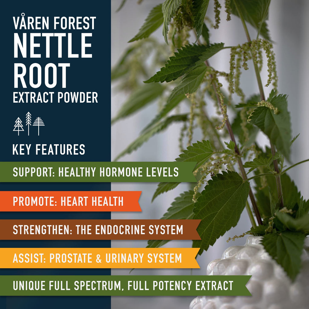stinging nettle supplement for wellness