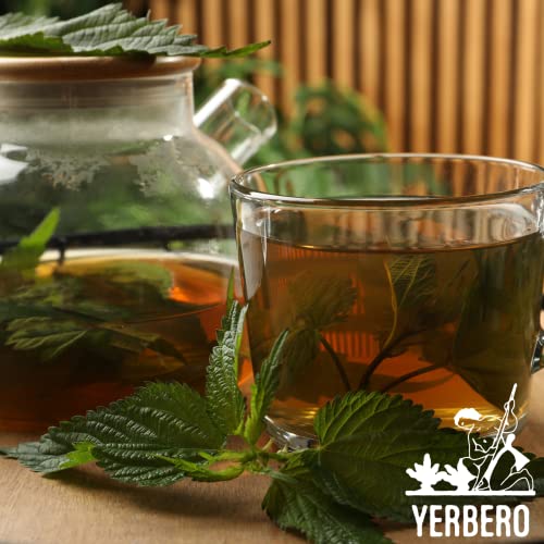 stinging nettle tea for digestion