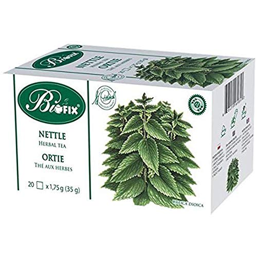 stinging nettle tea for health