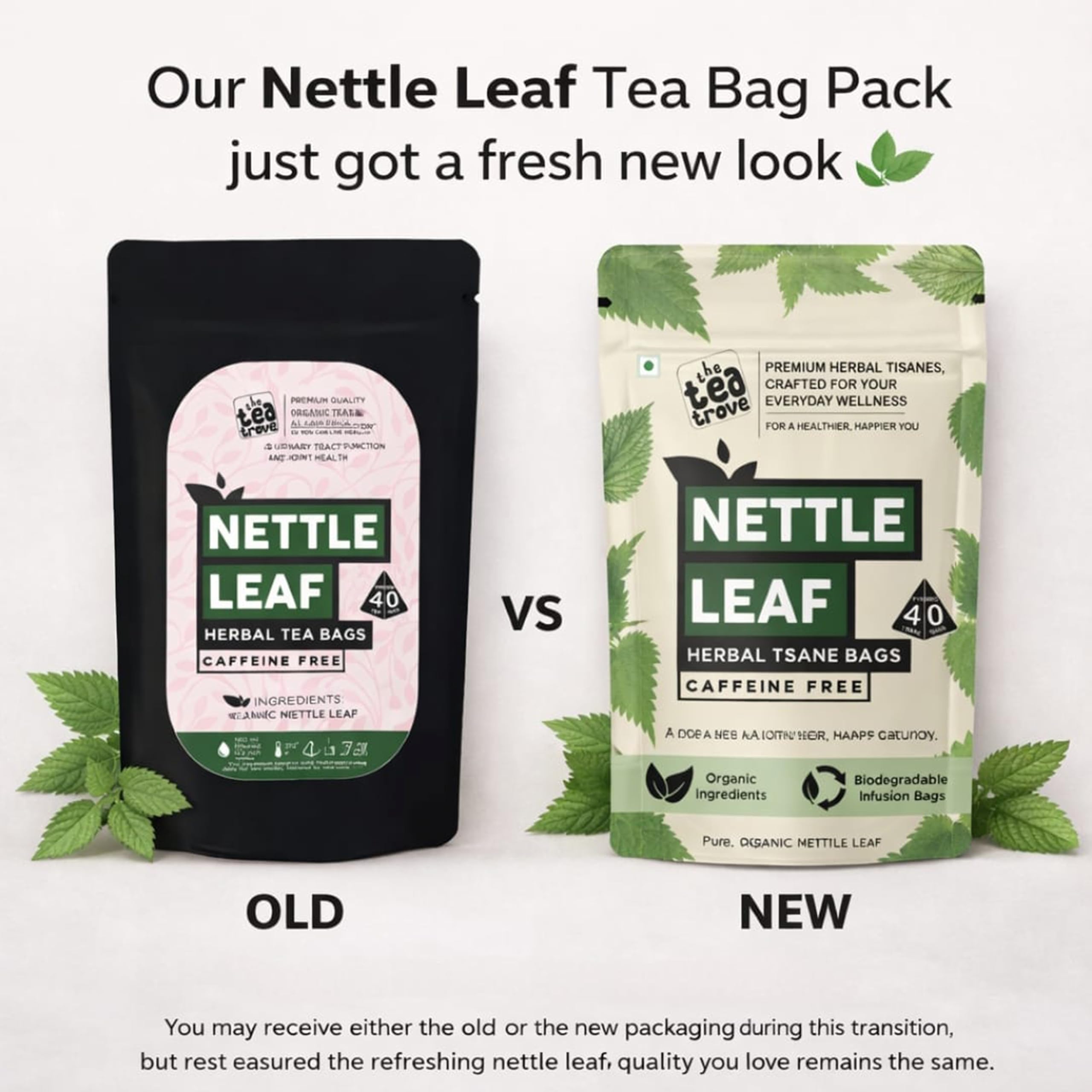 stinging nettle tea for hormonal balance
