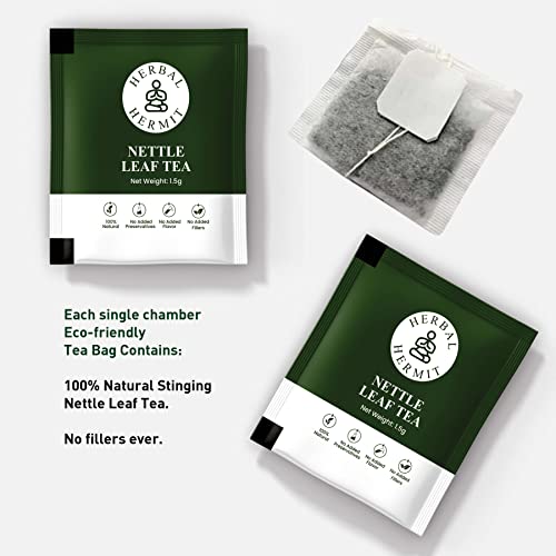 stinging nettle tea for immune support