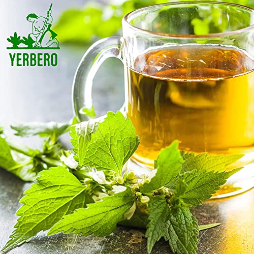 stinging nettle tea for overall wellness