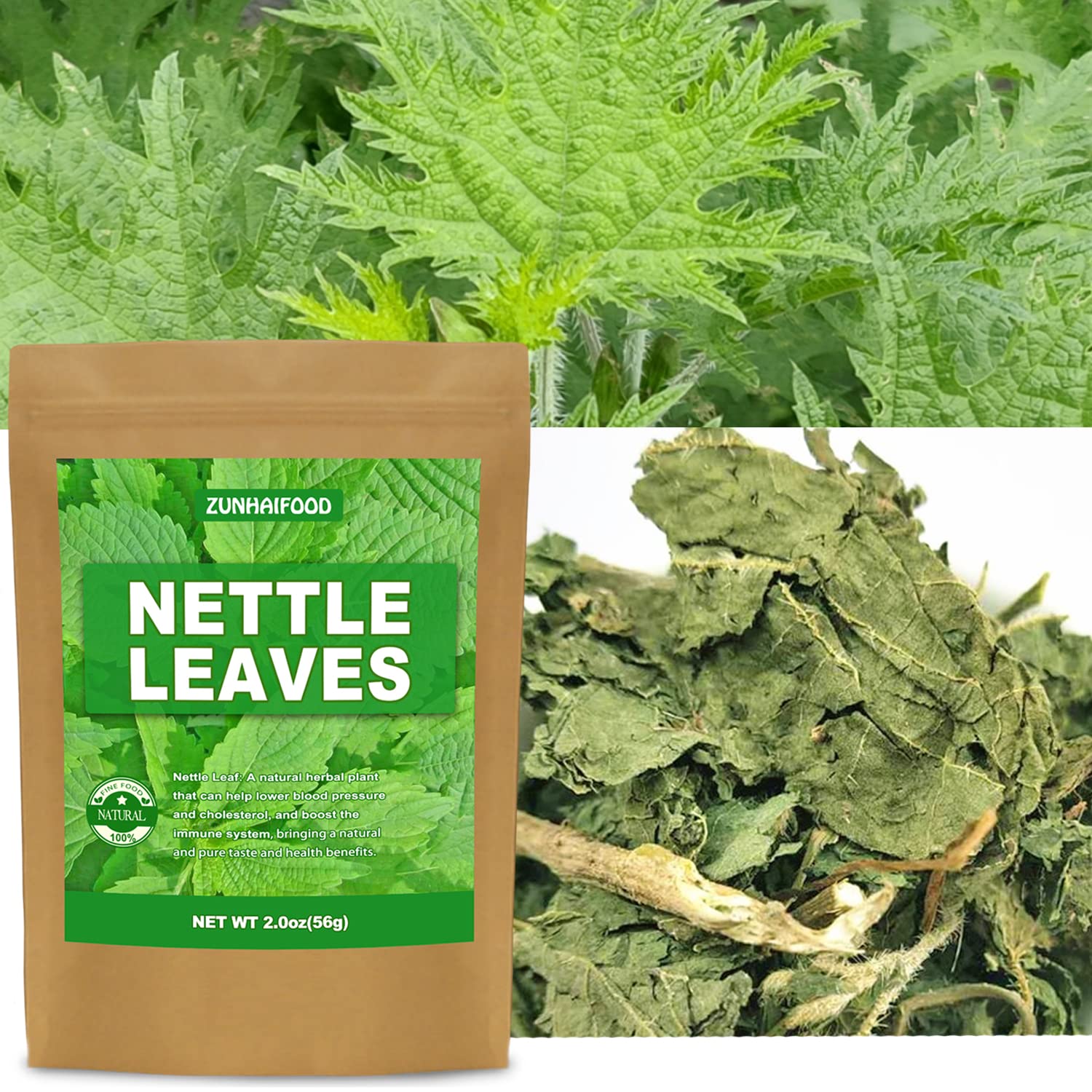 stinging nettle tea for wellness