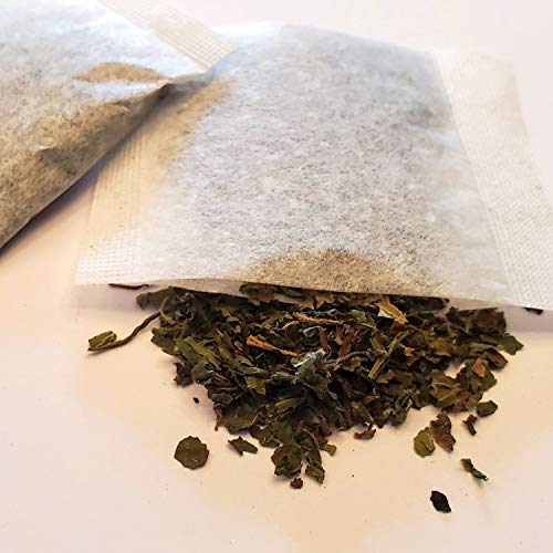 stinging nettle tea for wellness