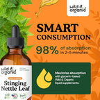 stinging nettle tincture for vitality