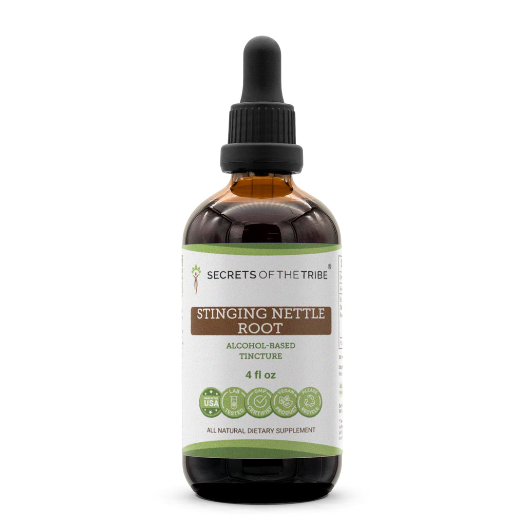 stinging nettle tincture for wellness