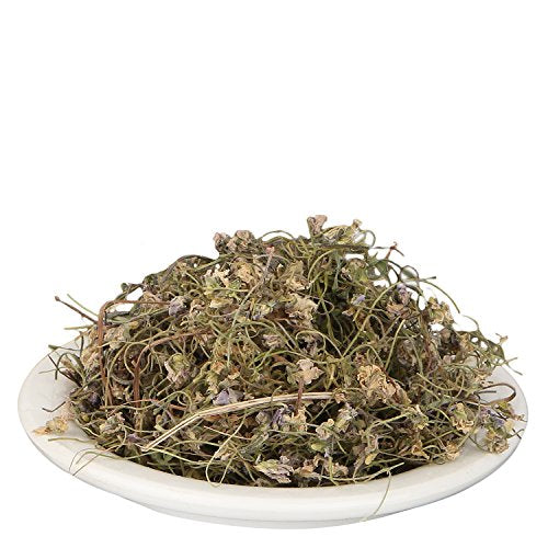 Stinging nettle uses in traditional medicine