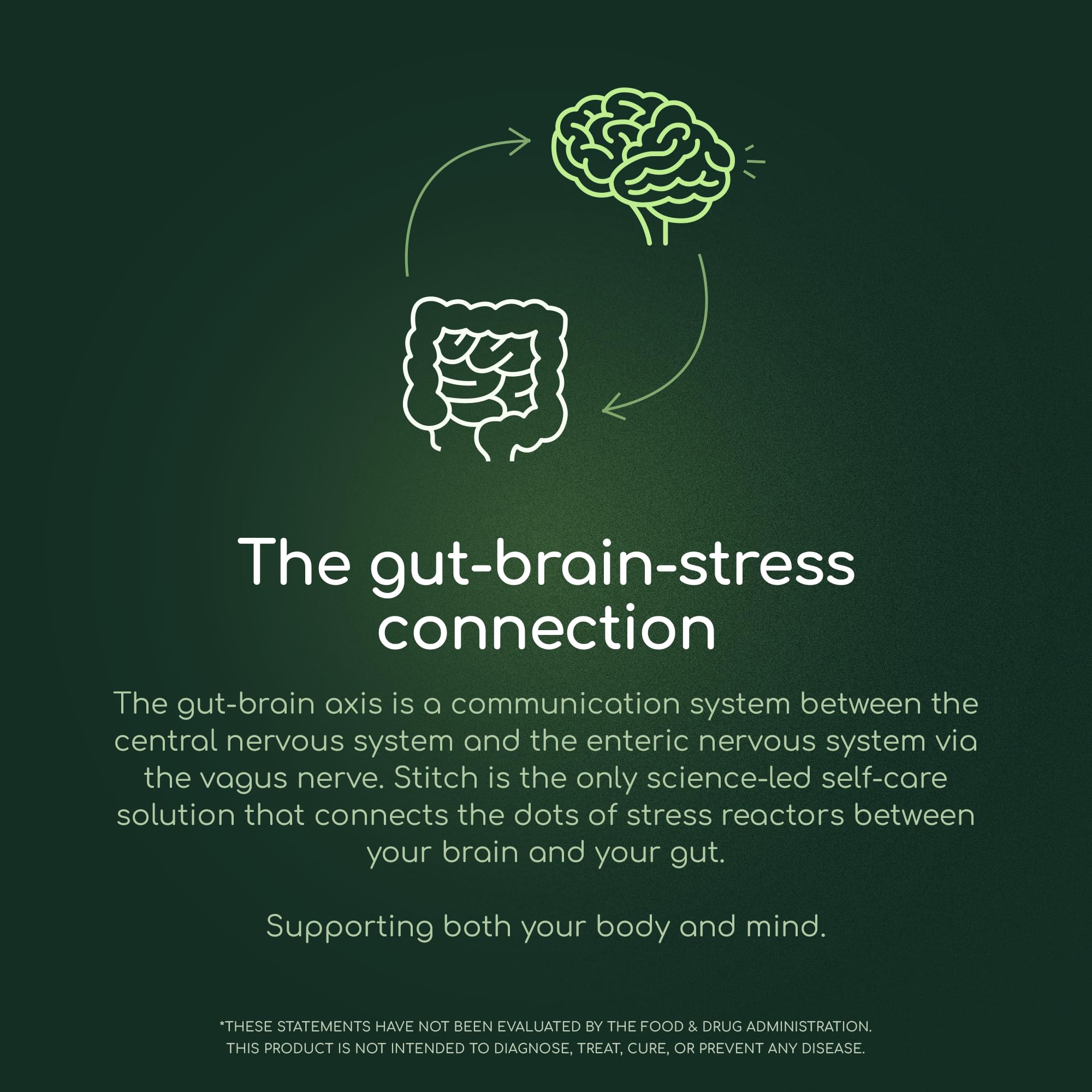 Stitch Daily Probiotic for active lifestyles