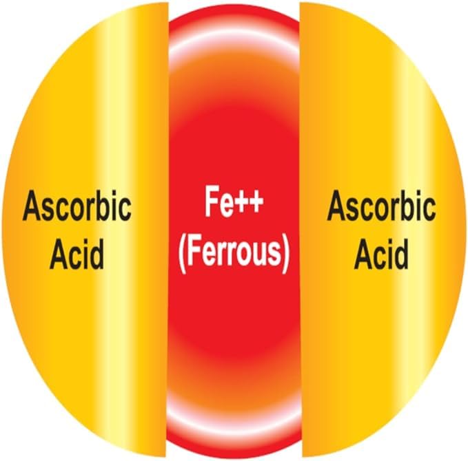 stomach-friendly iron supplement option
