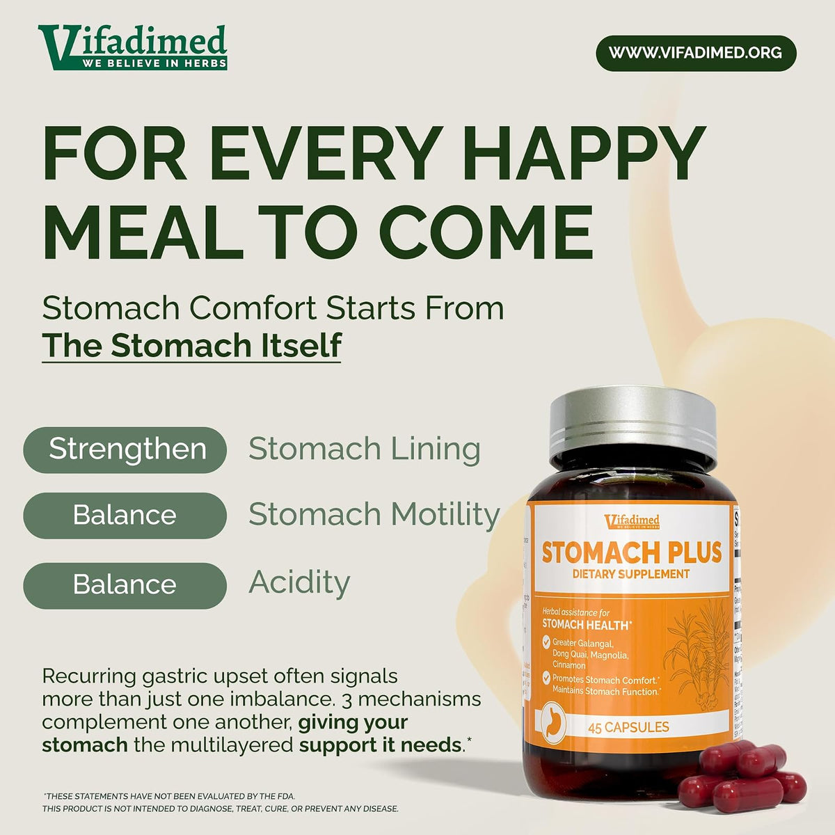 stomach health support with enzymes