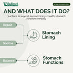 Stomach Plus for optimal gut health