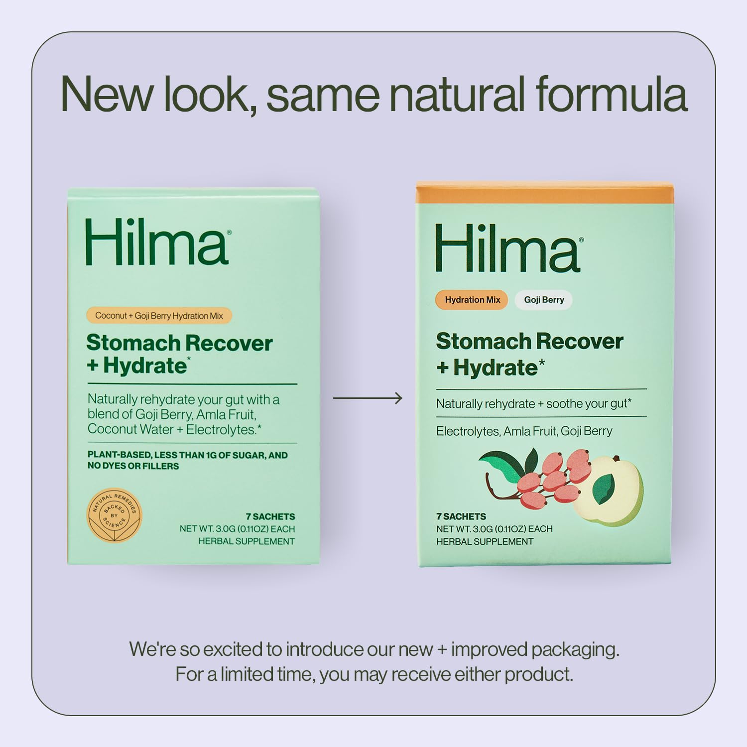 stomach recovery electrolytes for wellness