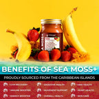 strawberry banana superfood gel