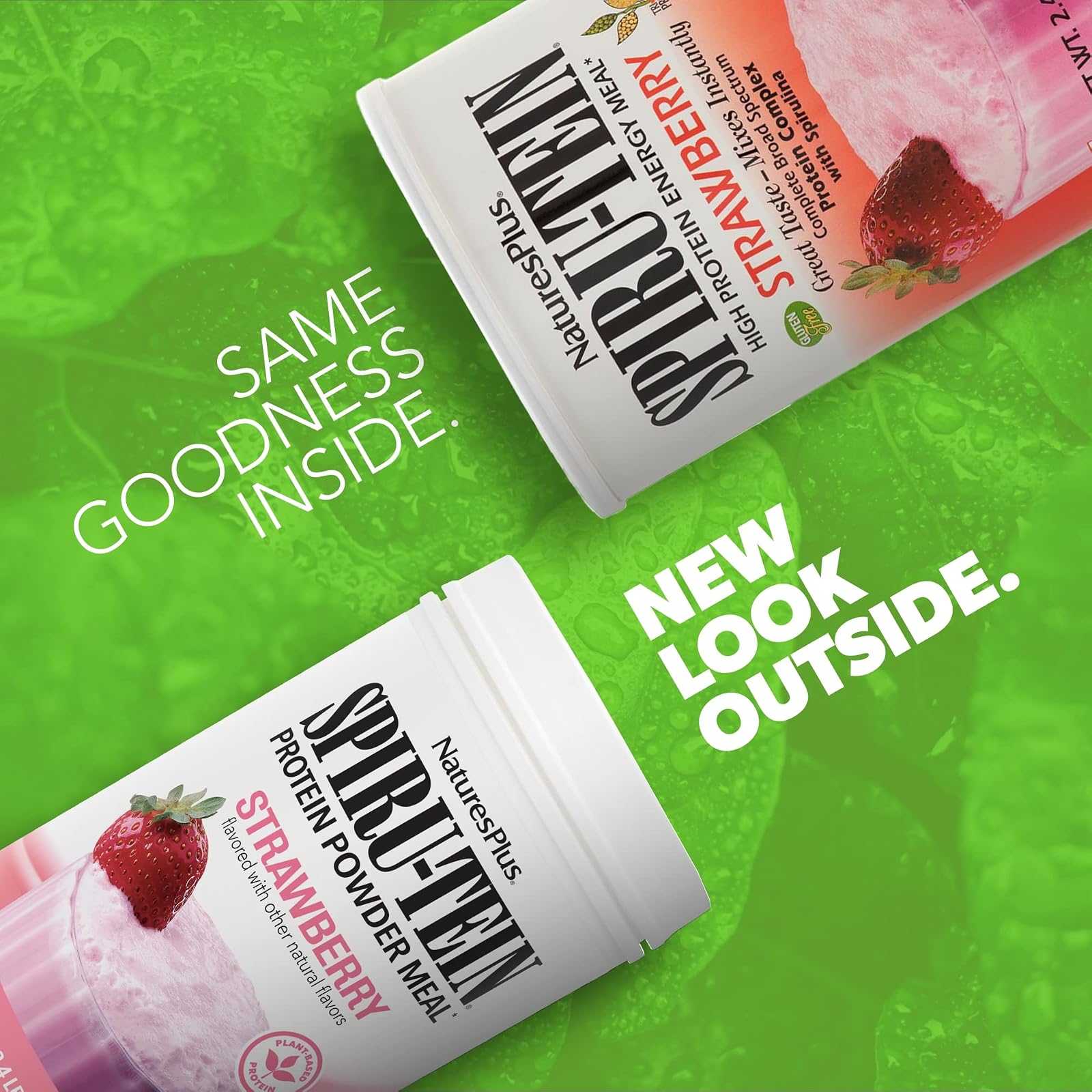 strawberry plant based protein powder