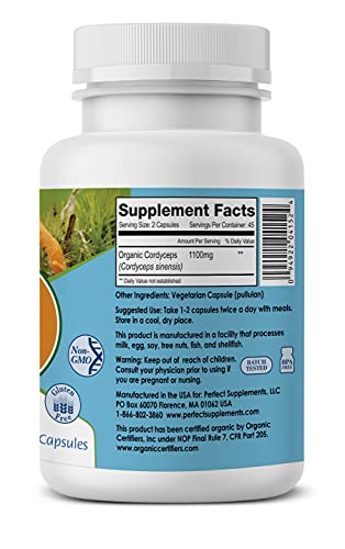 strength support with cordyceps extract