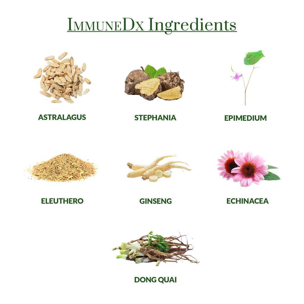 strengthen immune system with echinacea