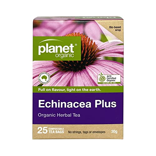 strengthen immunity with echinacea tea