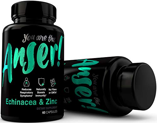 Strengthen immunity with echinacea