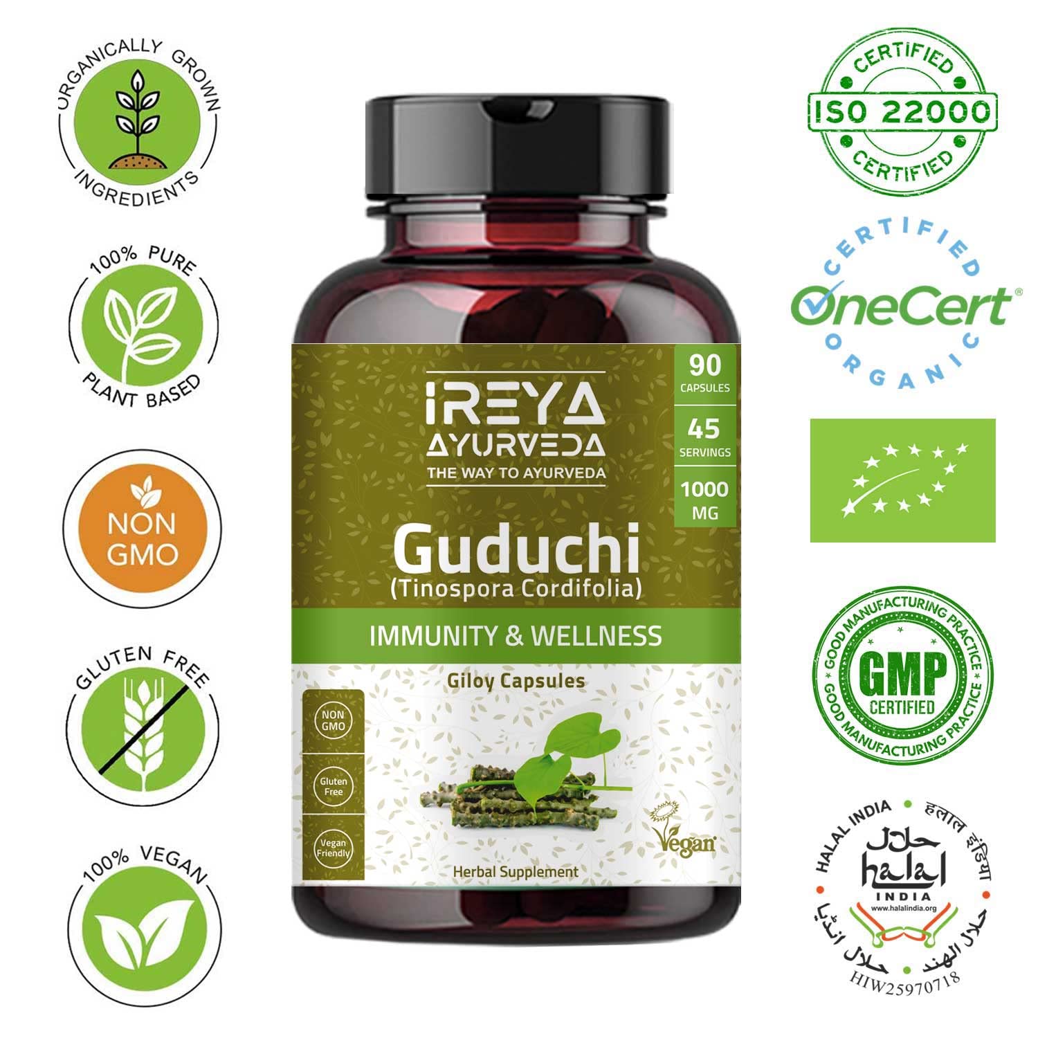 strengthen immunity with giloy extract