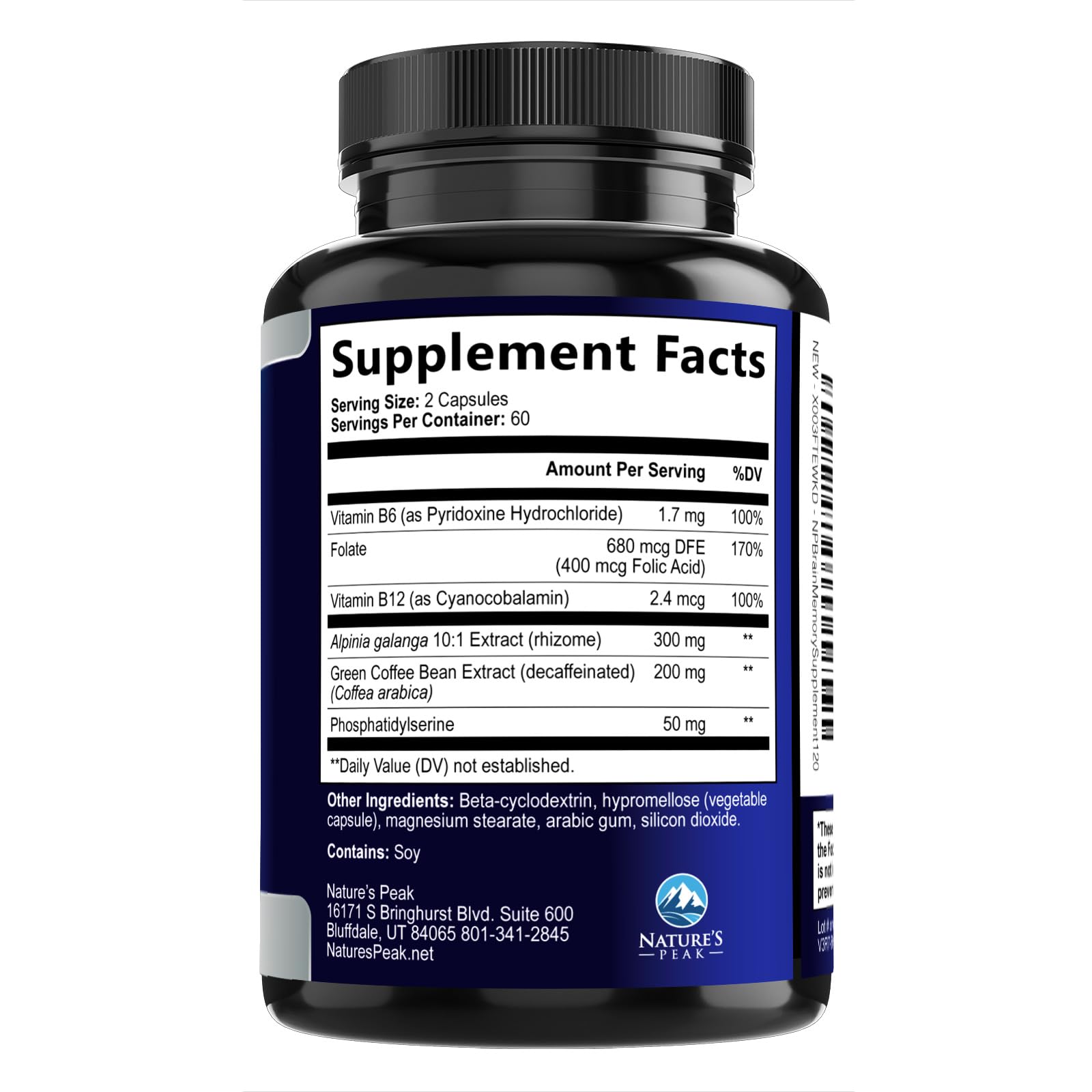 strengthened focus with nootropics