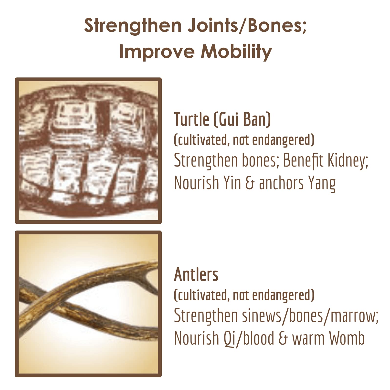 strengthening dietary supplement for bone support