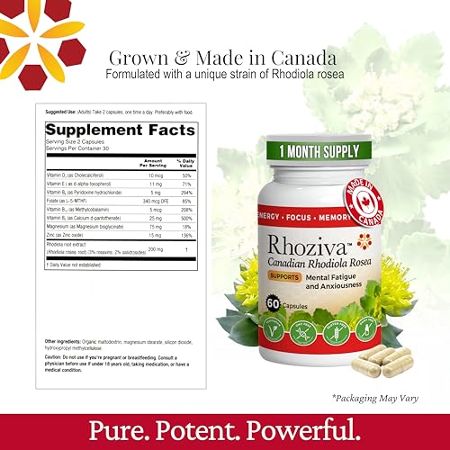stress management Rhodiola Rosea supplement