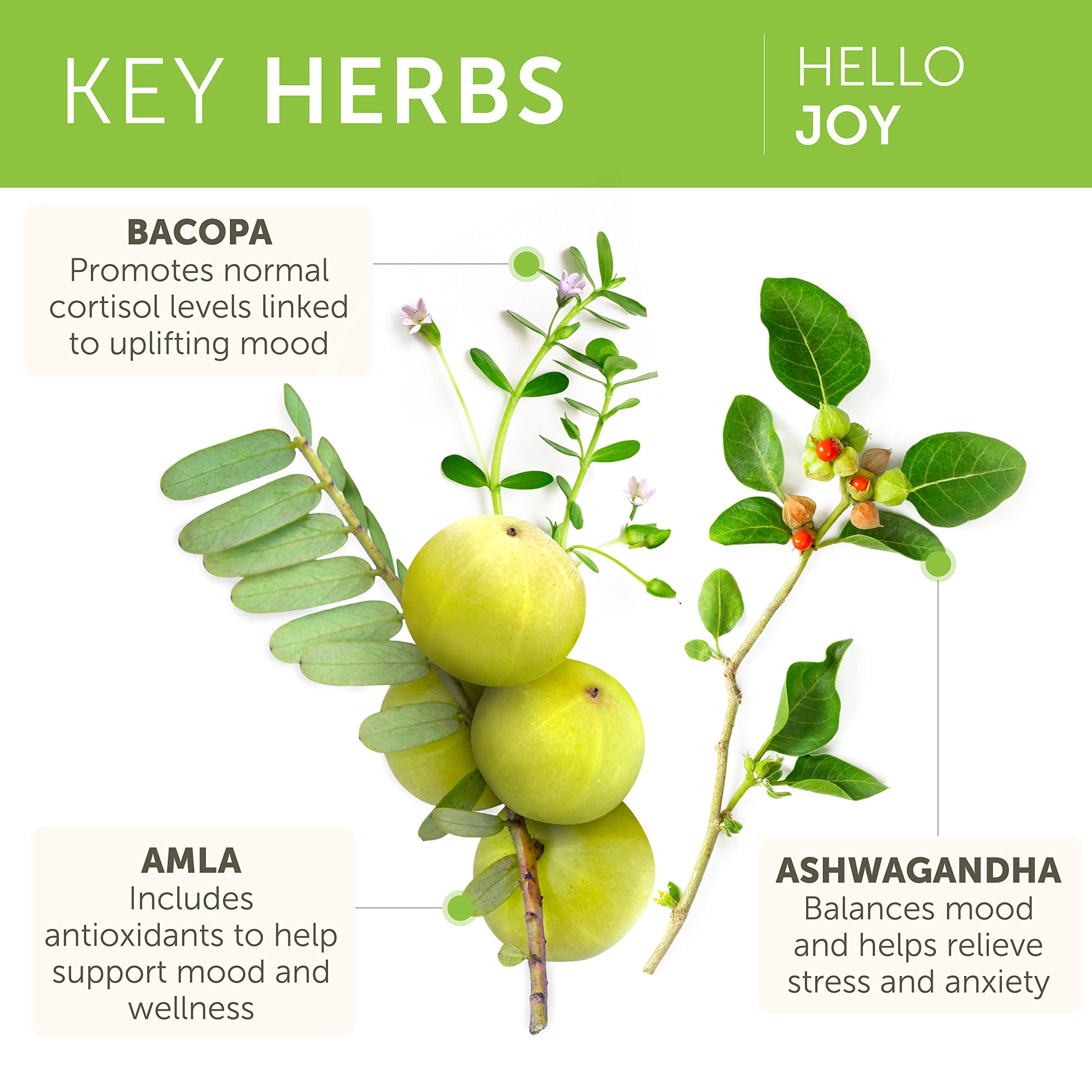 stress management with ashwagandha