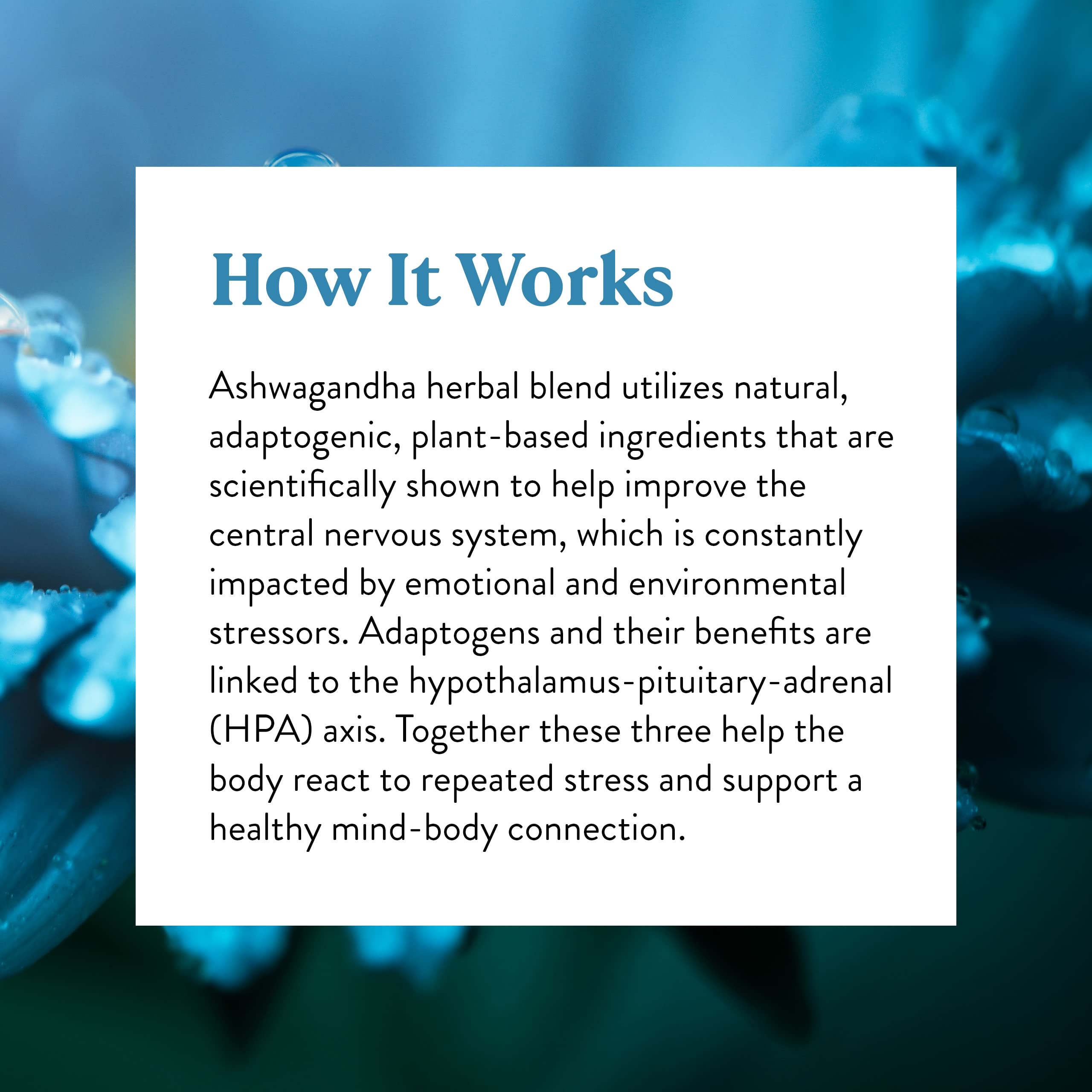 stress management with ashwagandha