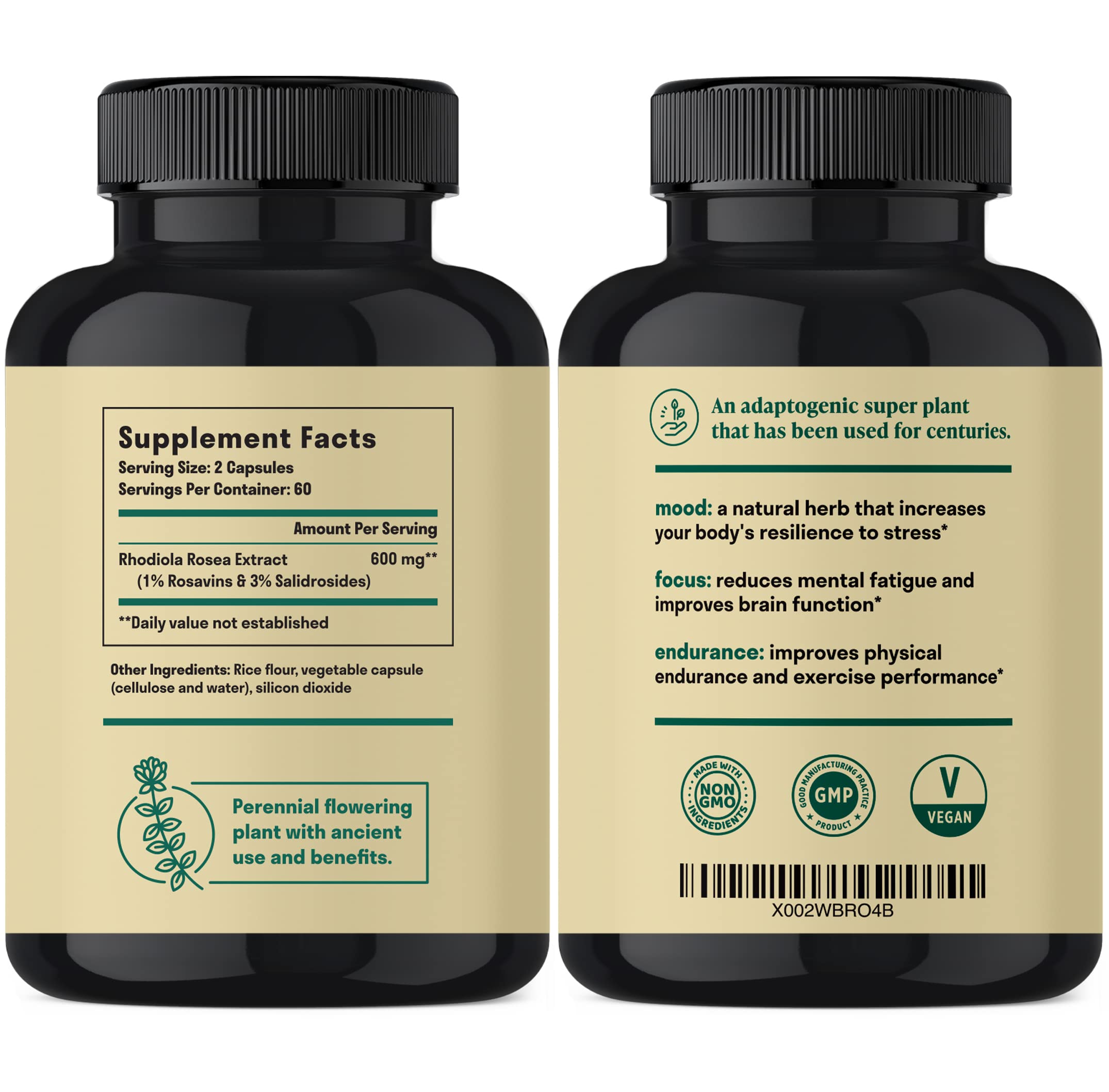 stress management with Rhodiola Rosea
