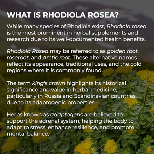 Stress management with Rhodiola tincture
