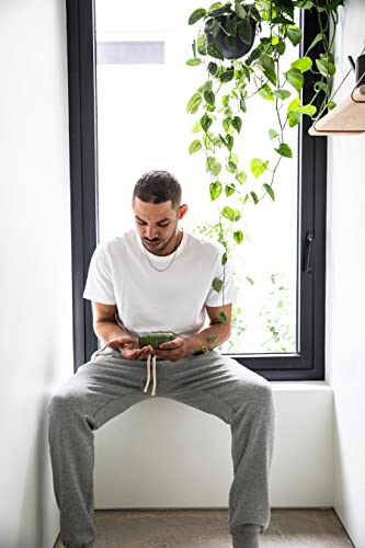 Stress relief benefits of Reishi mushrooms