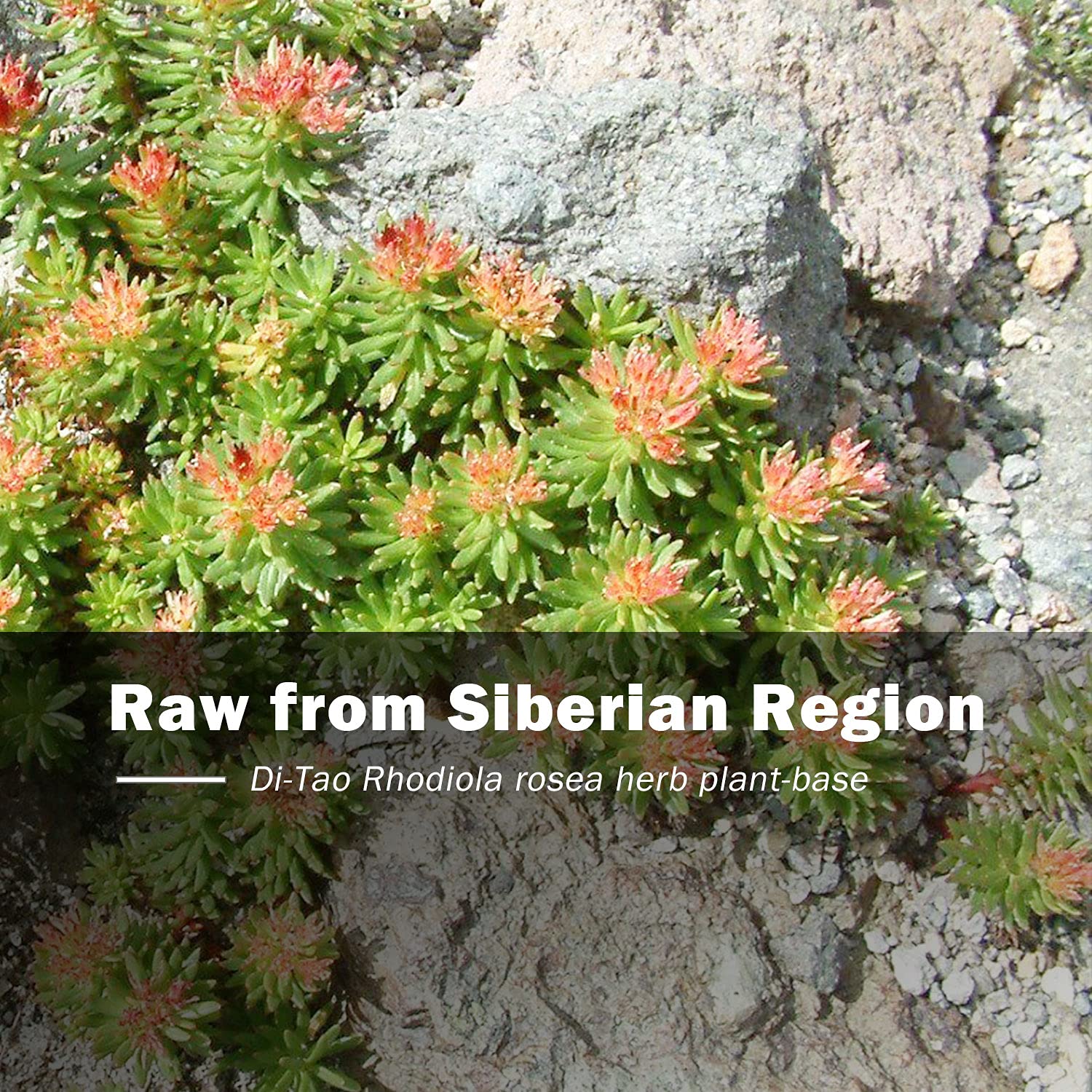 stress relief herbal supplements for adults