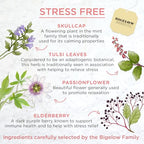 stress relief herbal tea bags